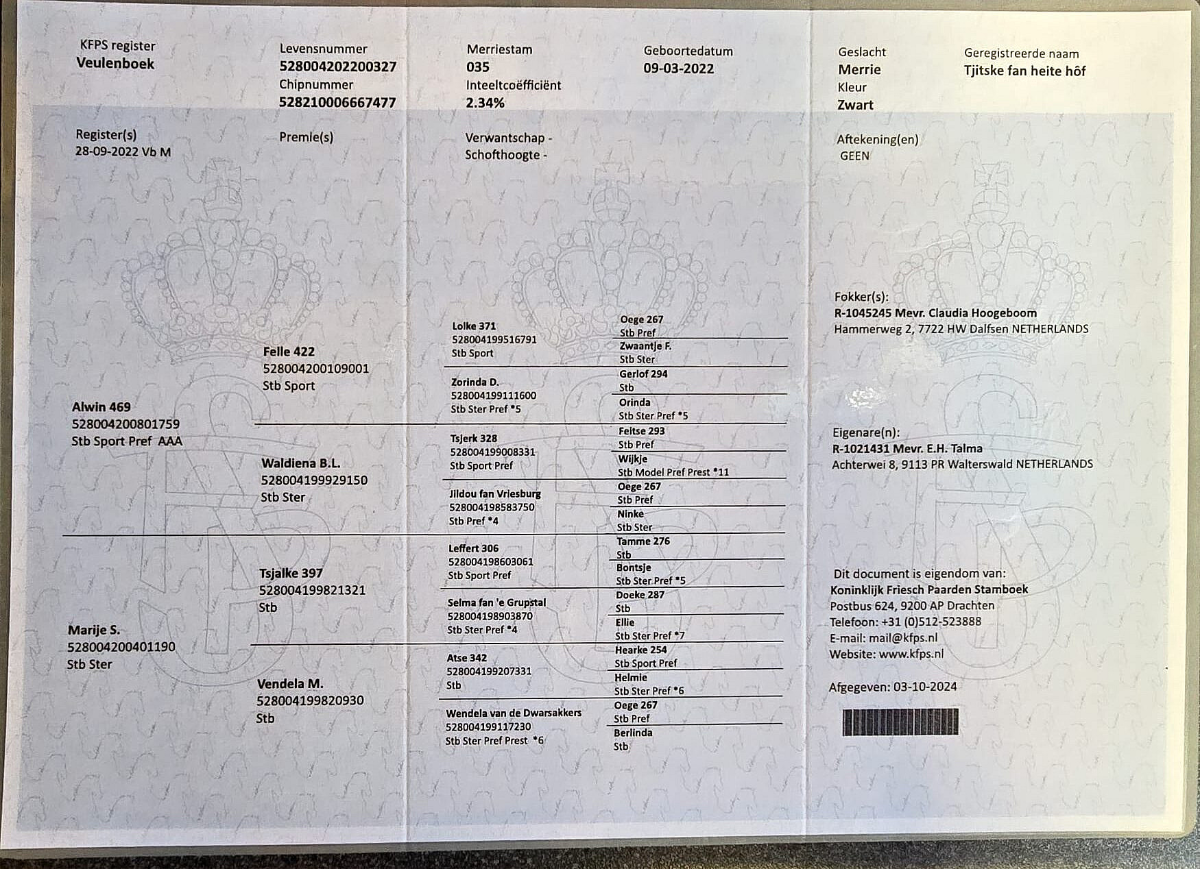 Tjitske - Stal Okkema