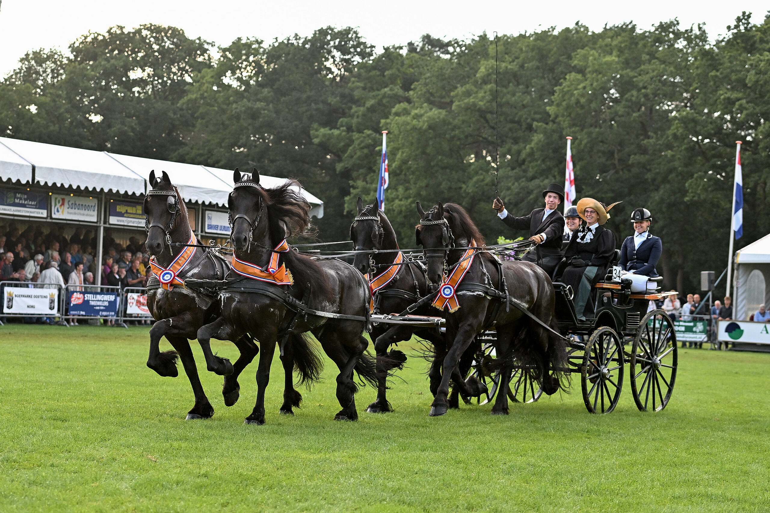 Wesley - Cees - Nero - Markys - Stal Okkema